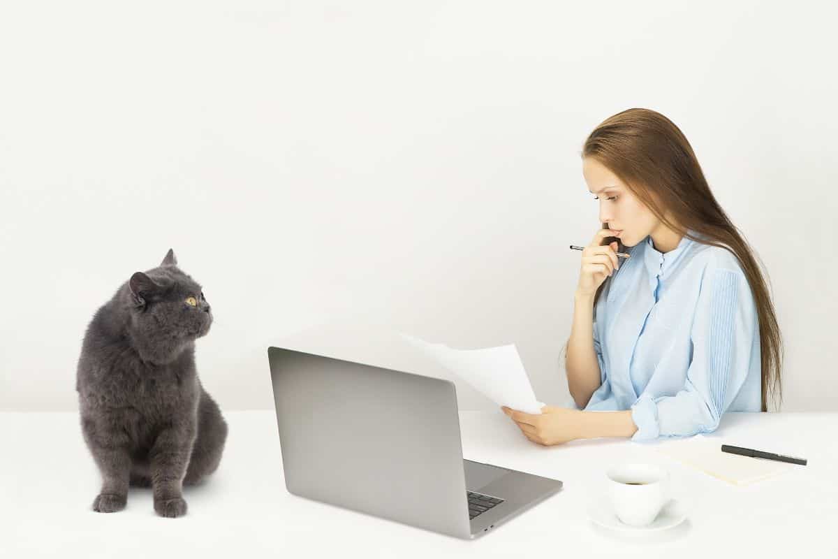 Personal Assistant Services: Why You Should Hire One